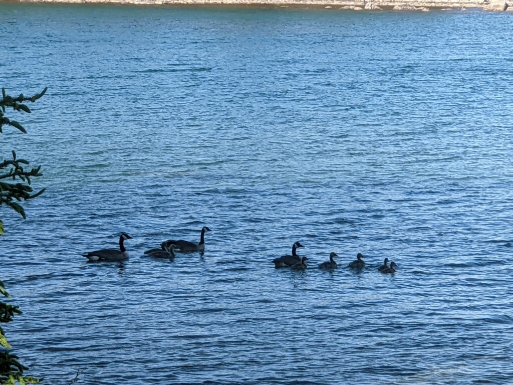 imagejpeg_0 (3) – Drummond Island Realty